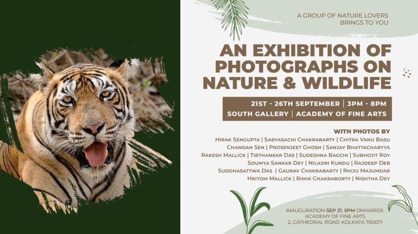 “Life Exists Beyond Humans”- an Exhibition with a purpose – Tiger Tales ...