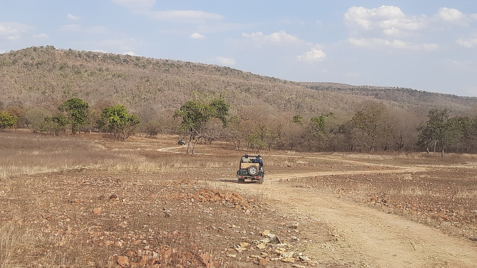 Panna – A Tiger Reintroduction Story Part 1 – Tiger Tales of India